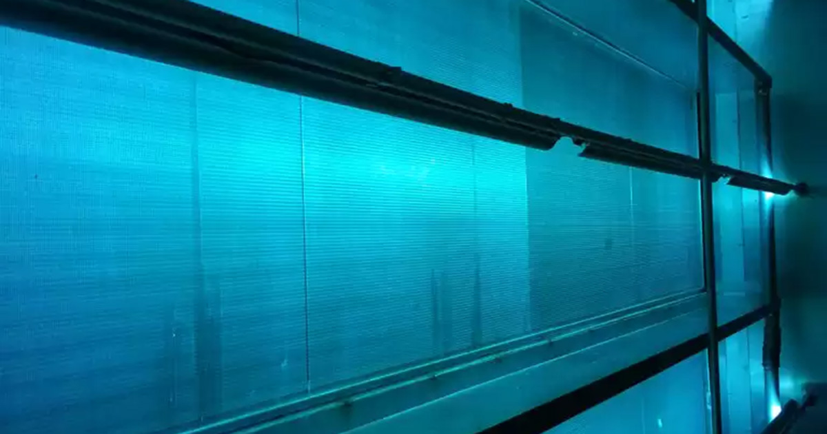 Formicary Corrosion and Biofilm Fouling of Cooling Coils